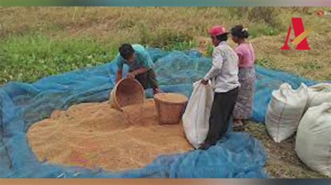 မြန်မာ့ဆန်ကို ဘင်္ဂလားဒေ့ရှ်နိုင်ငံက အများဆုံးဝယ်ယူနေ ဧရာဝတီတိုင်းမ် ဒီဇင်ဘာလ ၁၃ ရက် ဘင