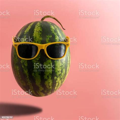 패션 Hipster 박 과일 밝은 여름 컬러 액세서리 선글라스와 함께 열 대 박입니다 크리에이 티브 아트 개념입니다 최소한의 스타일입니다 여름 파티 배경입니다 과일에 대한