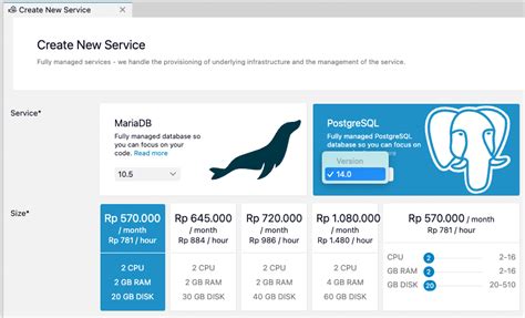 Database Manage Service Dimensicloud