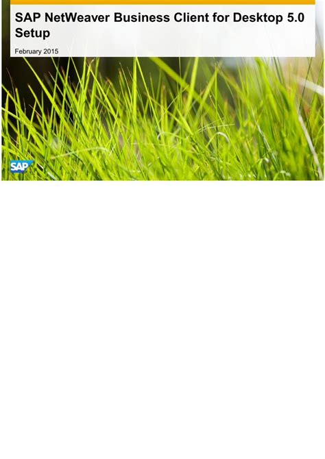 pdf sap netweaver business client for desktop 5 0 setup dokumen tips
