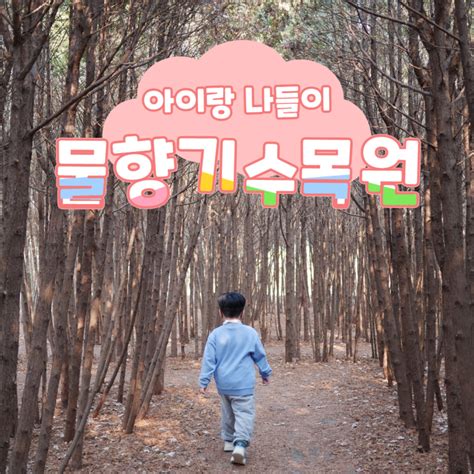 오산 물향기 수목원 입장료 주차 체험 아이랑 서울 근교 숲 나들이 소풍 네이버 블로그