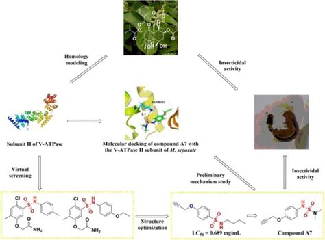 Design Synthesis Insecticidal Activities And Molecular Docking Of