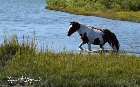 Billy Bob Album On Imgur