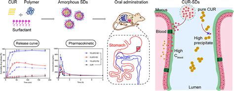 Solubility Improvement Of Curcumin By Crystallization Inhibition From Polymeric Surfactants In
