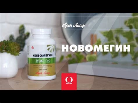 НОВОМЕГИН - YouTube