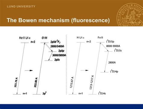 Fluorescence And Resonant Ionization In Astrophysical Plasmas With
