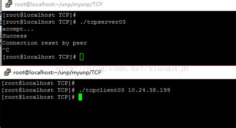 tcp异常处理（accept返回前连接中止）与so linger选项 c 中tcpaccept会报什么异常类型 csdn博客
