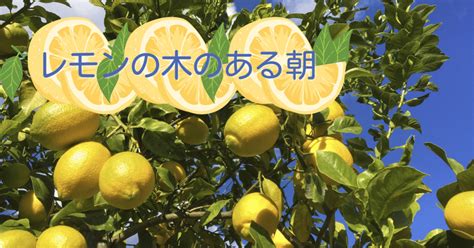 Imary|note Imary|note