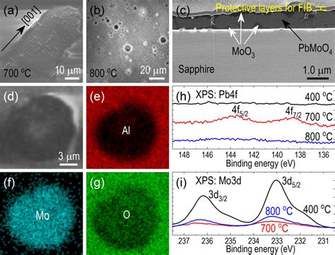 Morphological And Structural Properties Of The Surface Remains Of