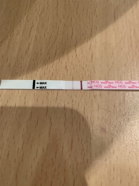 Hcg Negative Pregnancy Test