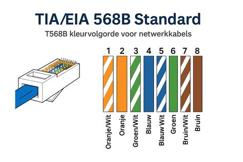 What Is A Cat Cable And What Variants Are There Netwerkkabel Eu