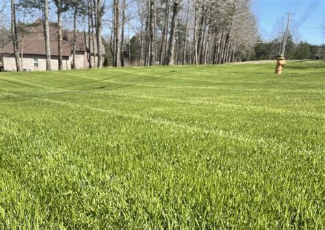 Turfgrass Ut Hort