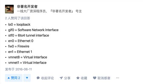 Mac Ifconfig 详解（ifconfig Detail） 外婆送来的丁香grandmas Clove Rockbean