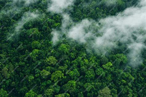 Assessing Deforestation Patterns Using Remote Sens Generative Ai