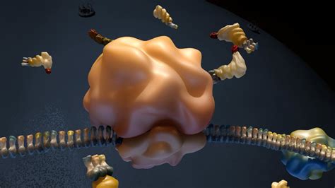 ЕГЭ № 28 Открытая рамка считывания 1 разбор задачи Youtube