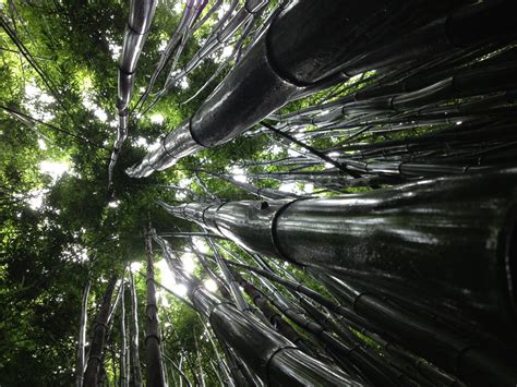 Non Linear Scale Of Growth With Big Data