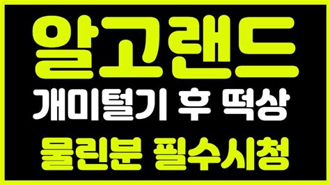 알고랜드 이건 작전이었다 개미들 물량 털고 이제 시작입니다 Youtube