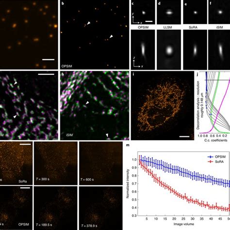 Combination Of Structured Illumination And Light Sheet Microscopy A Download Scientific