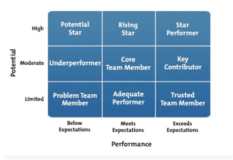 Mckinsey 9 Box Matrix 1 Hour Guide
