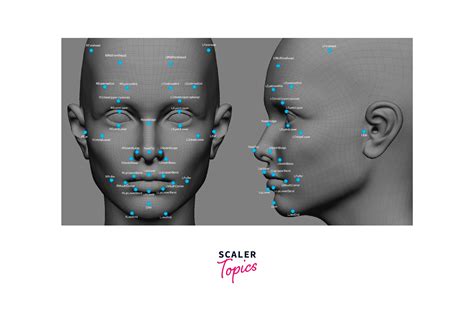 Fundamental Steps In Digital Image Processing Scaler Topics