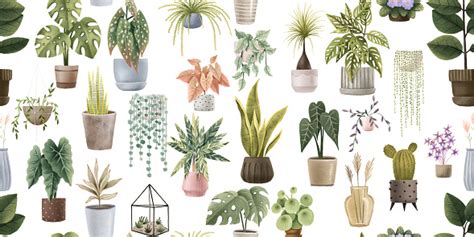 관엽 식물 식물 및 화분과 완벽한 패턴 가정 녹지 식물학 그림 집 정원 식물 벽지 포장지 섬유 만화 디자인 0명에 대한 스톡 벡터 아트 및 기타 이미지 Istock