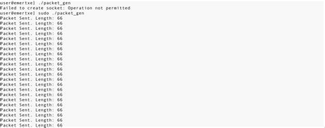 linux internals projects for beginners network packet generator project