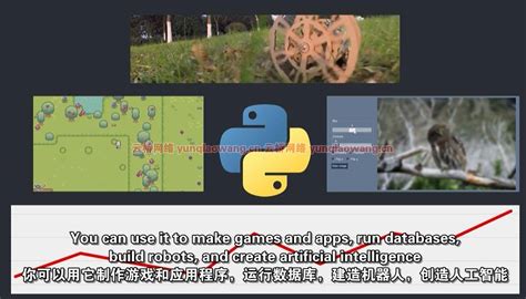 通过制作4个游戏学习python云桥网络 通过制作4个游戏学习python云桥网络