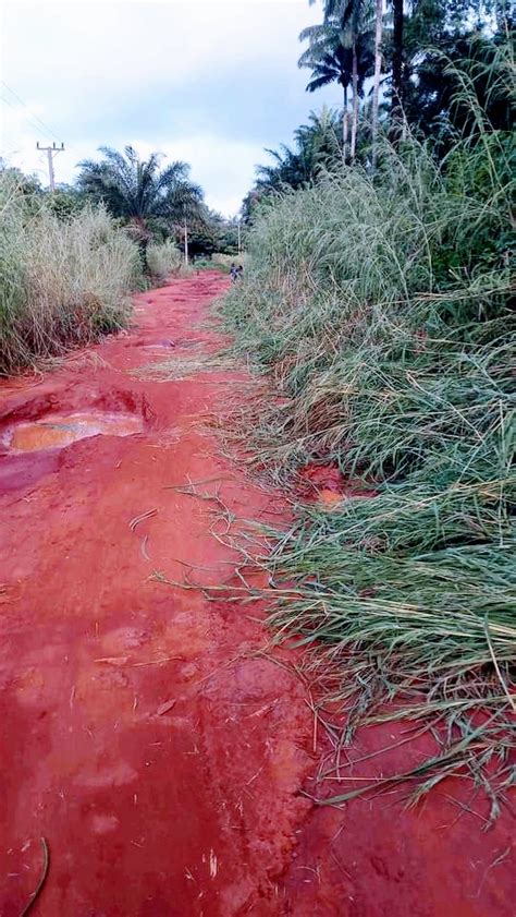 Enugu Community Cries Out To Gov Mba Over Dangerous Access Road Thats Not Even Trekkable PHOTOS
