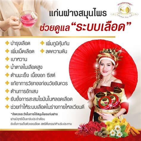 สมุนไพรแก่นฝางตราแก่นนางพญาสมุนไพรบำรุงเลือด ดูแลระบบไหลเวียนเลือด เลือดไหลเวียนดีขึ้น ปวดหัว