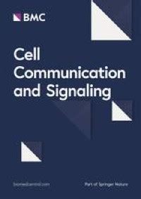 New Insight Into CCN3 Interactions Nuclear CCN3 Fact Or Fantasy Cell Communication And