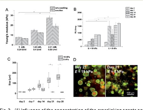 Figure 1 From Creating A 3d Microenvironment For Monocyte Cultivation