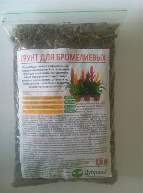 Почему у эхмеи чернеют листья