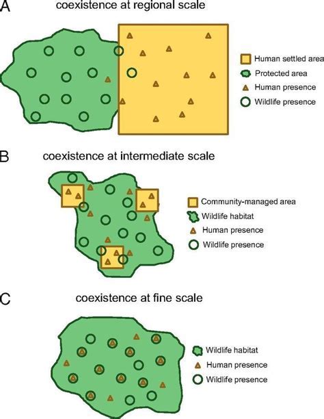 What Is Spatial Scale In Ecology