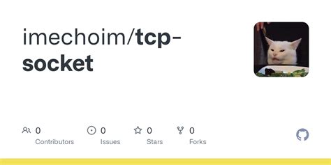 Github Imechoimtcp Socket