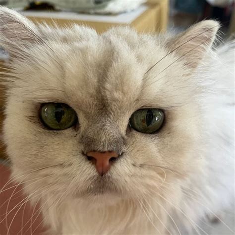 家中有可以一起承擔照顧責任的人嗎？多人分擔會比較好，然後任何的醫療方式都要大家有共識，不然決策者很常會在失智症情況變嚴重時成為箭靶。照護上可以