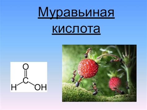 Муравьиная кислота, история открытия и свойства доклад, проект