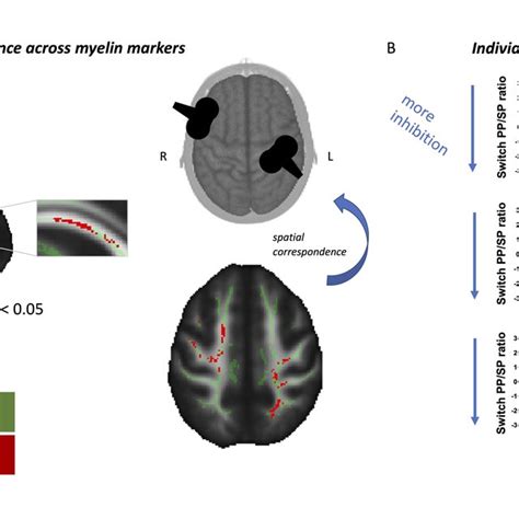 Multimodal Joint Inference Reveals Concordant Relationships Between Download Scientific Diagram
