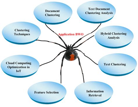 Black Widow Optimization Bwo Algorithm Mating Behaviour Of Black