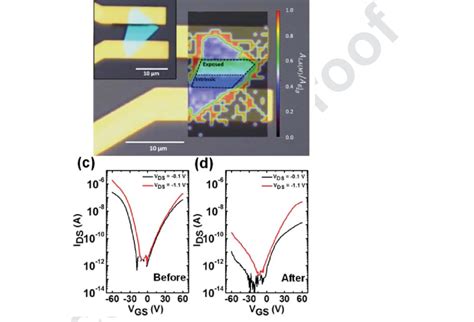 A Schematic Of The WSe 2 Field Effect Transistor FET Device Download Scientific Diagram