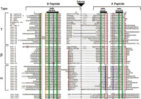Sequence Diversity Of Ins Genes Sequence Alignment Of B And A Domains