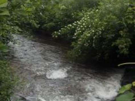 Nc Deq Mitigation Services