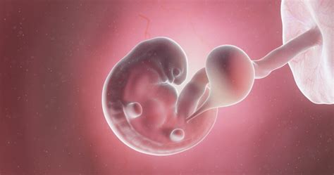 Very Early Signs Of Pregnancy At 1 Week What To Expect After