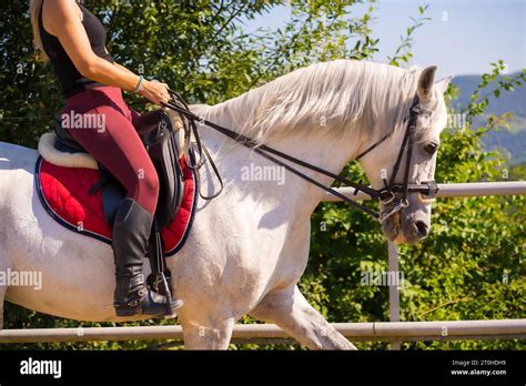 Unrecognizable Blonde Girl Riding On A White Horse Dressed Black Rider