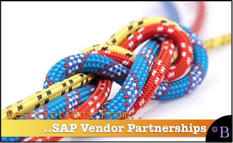 How Software Vendor Partnerships With Sap Restrict Competition In Favor