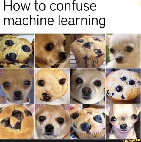 How To Confuse Machine Learning Ifunny