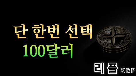 리플 』 이 선택으로 리플 100달러 갑니다 리플 리플코인 코인 리플전망 비트코인 비트토렌트 시바이누 호재 리플