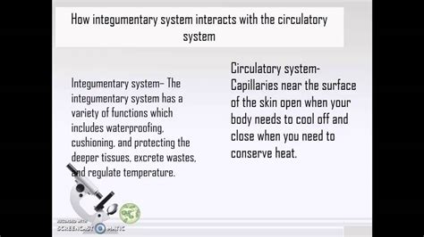 Unit 3 Chapter 2part 1 Youtube