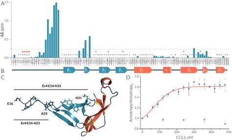 Binding Of Ccl5 Is Mediated Via The N Terminus Of Evasin 4 A The Csp