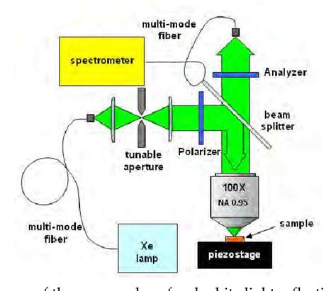 Figure 1 From Confocal White Light Reflection Imaging For