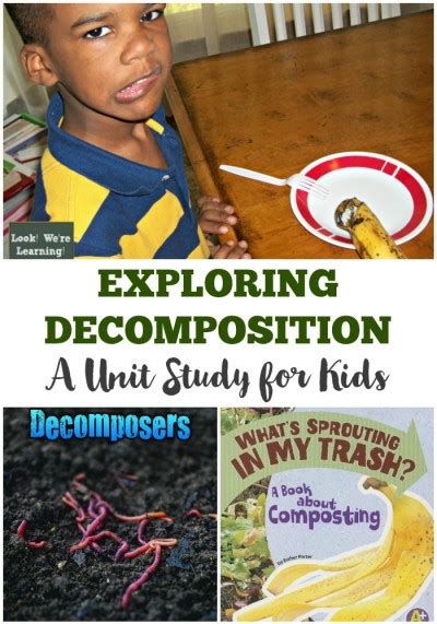 Stem For Homeschoolers Decomposition Lesson Ideas